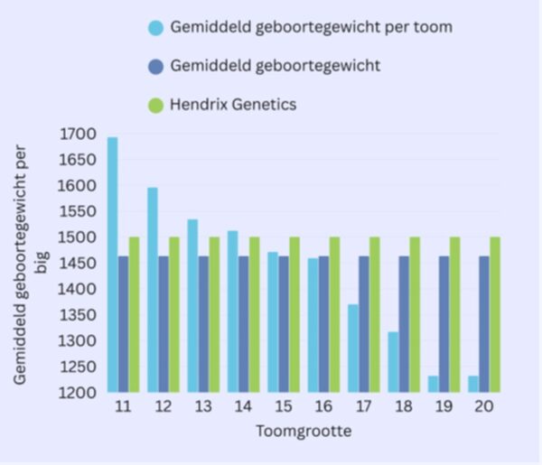 Halen we ook bij grotere tomen een acceptabel geboortegewicht ...